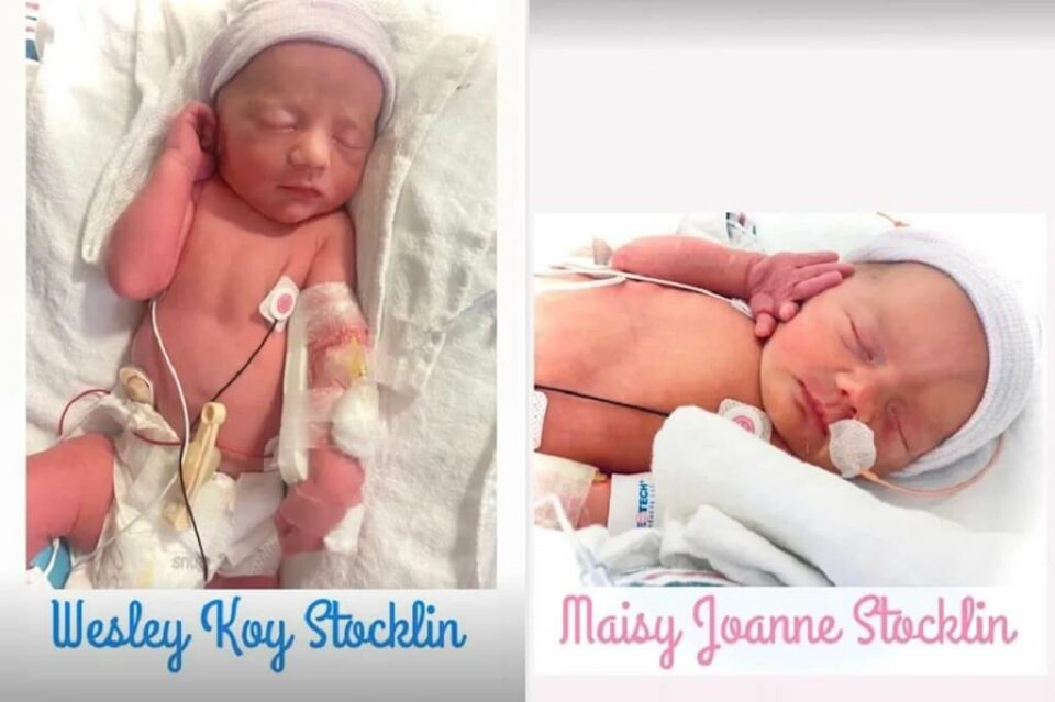 Who is Erik Stocklin and Colleen Ballinger's Daughter Maisy Joan Stocklin?