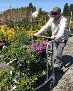 Who is Blippi Wife or Fiancé Alyssa Ingham?