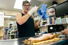 Dr. Jeff Biography, Wiki, Parents, Ex-Wife, Alive or Dead, Net Worth